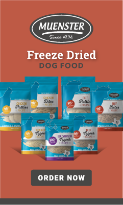 Chicora Rhodesian Ridgebacks – Responsibly & Ethically Bred In Western ...